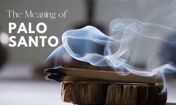 The Meaning of Palo Santo – Sacred Wood Essence LLC